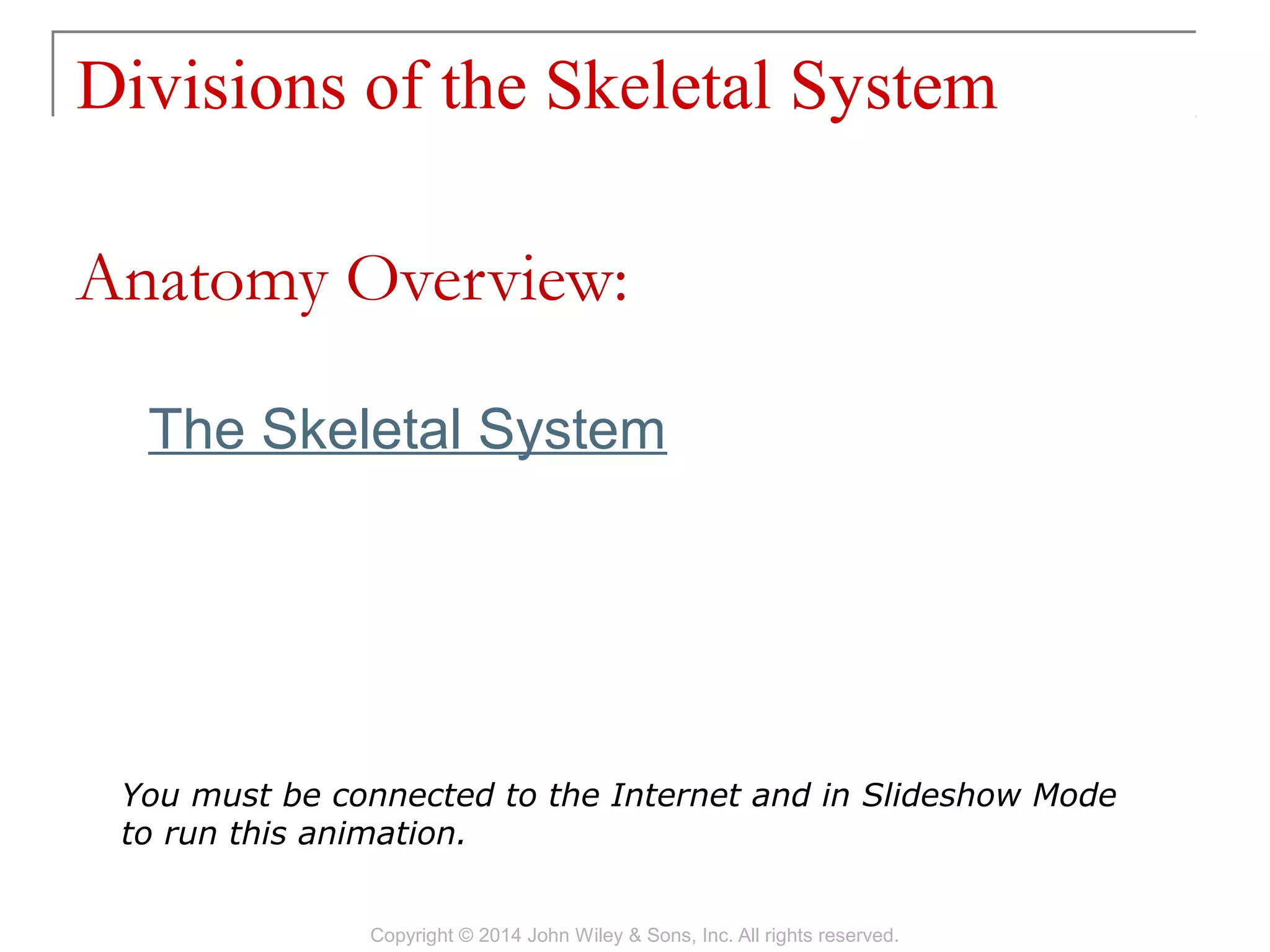 07 [chapter 7 the skeletal system the axial skeleton] | PPT