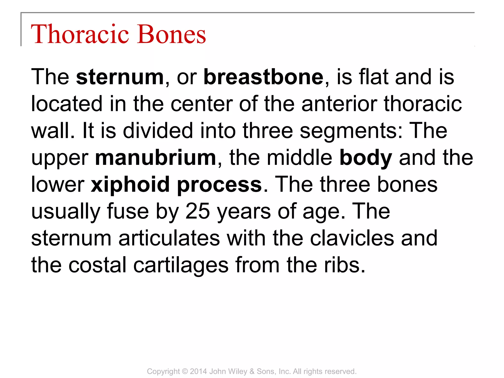 07 [chapter 7 the skeletal system the axial skeleton] | PPT