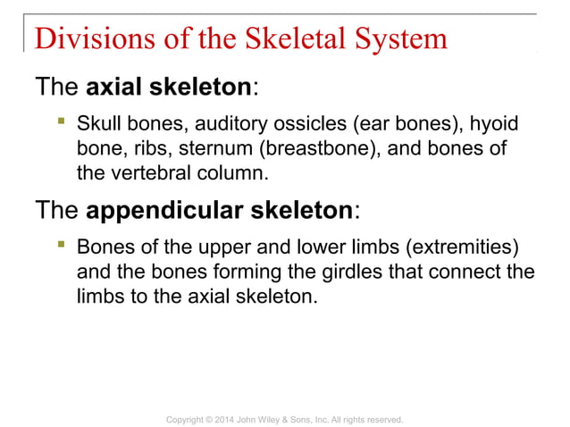 07 [chapter 7 the skeletal system the axial skeleton] | PPT | Death, Injury, or Military ...