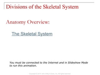 07 [chapter 7 the skeletal system the axial skeleton] | PPT