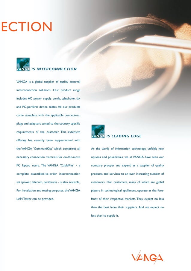 Company Profile Professional | PDF | Computer Peripherals | Computing