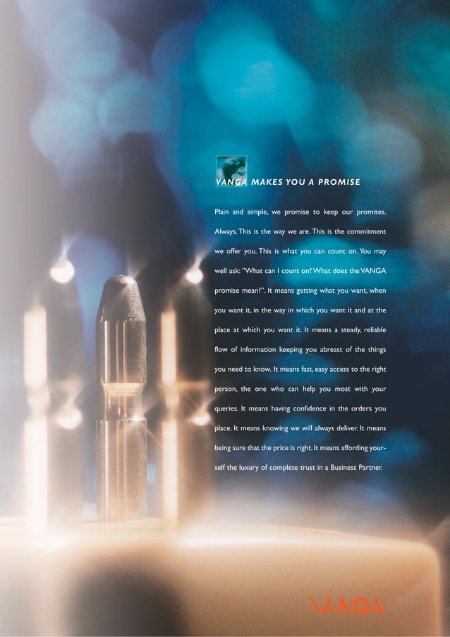 Company Profile Professional | PDF | Computer Peripherals | Computing