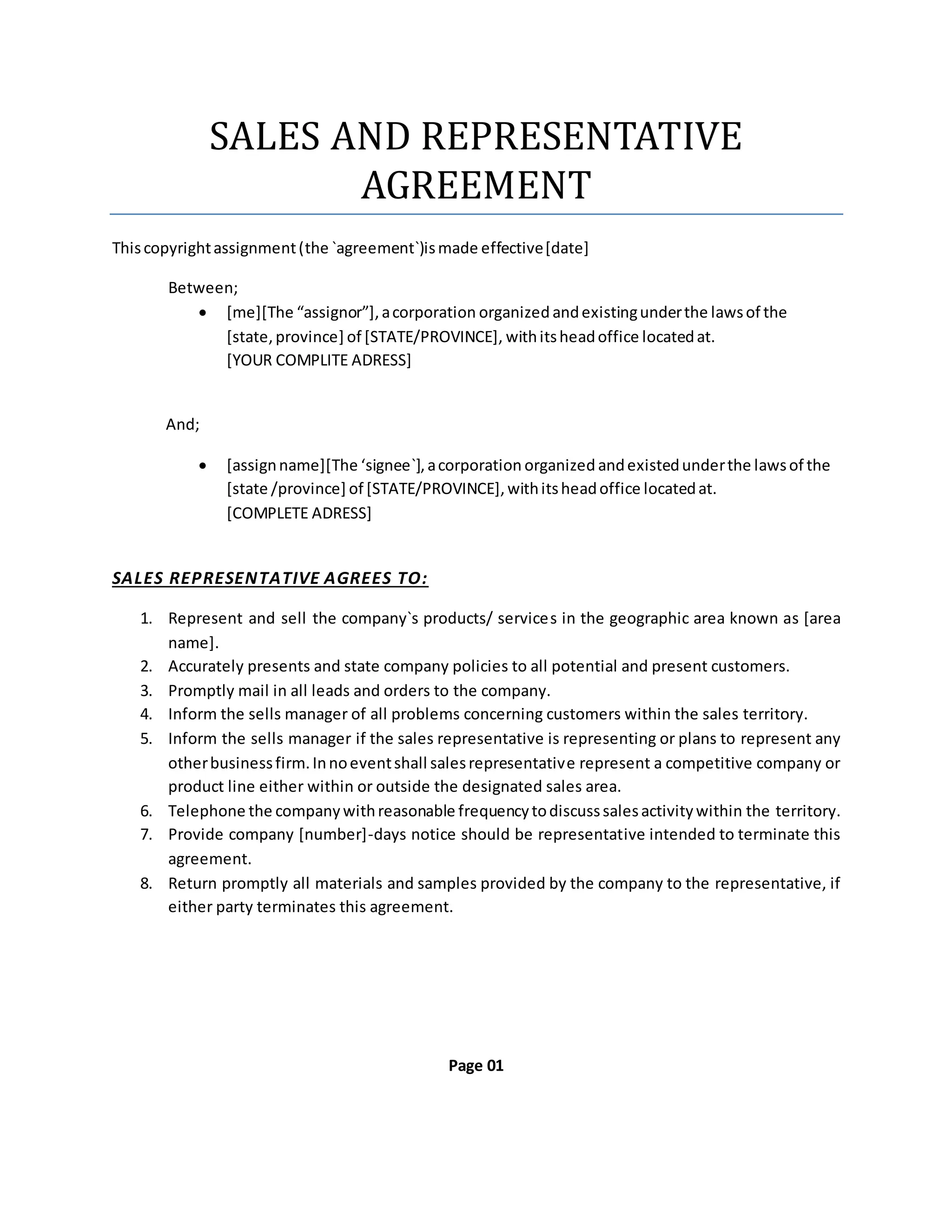 SALES AND REPRESENTATIVE AGREEMENT | DOCX