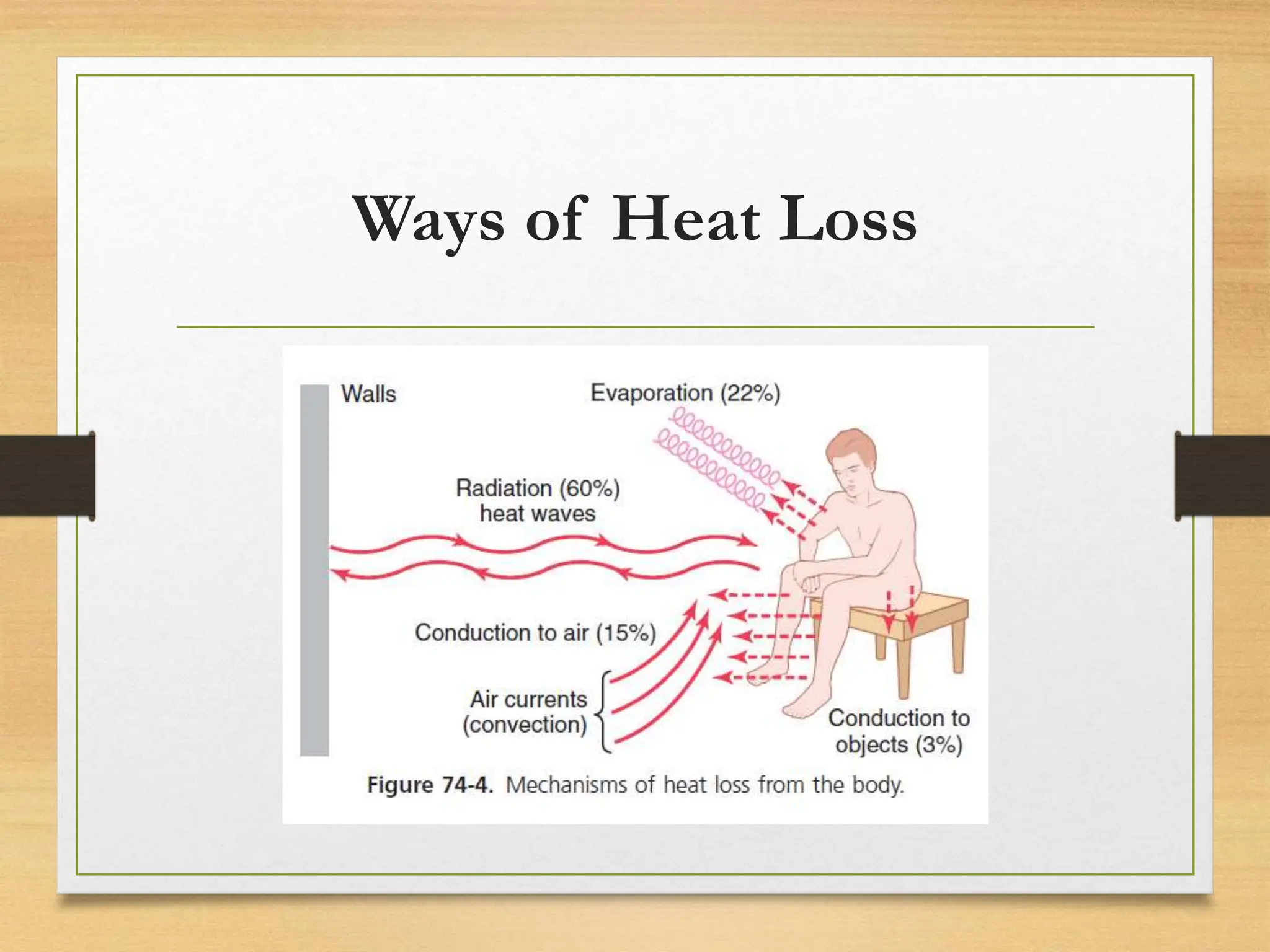 07 Energy Metabolism and Body Temperature.pptx