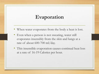 07 Energy Metabolism and Body Temperature.pptx