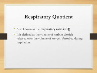 07 Energy Metabolism and Body Temperature.pptx