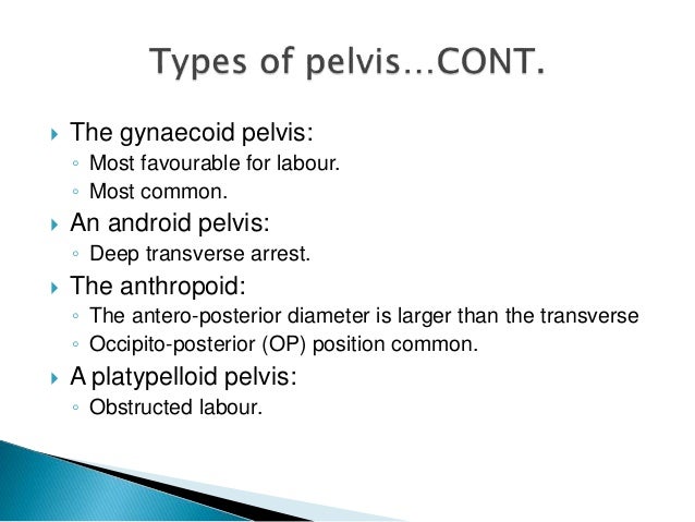 Deep Transverse Arrest , Labor: Overview of normal and abnormal ...