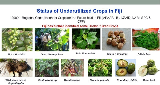 Country Status Reports on Underutilized Crops by Savenaca Cuquma, Fi…