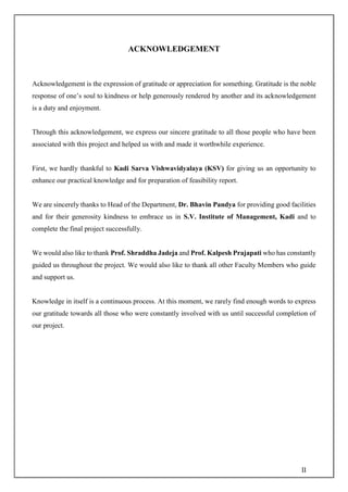 A Feasibility Study on New Courier Company | PDF