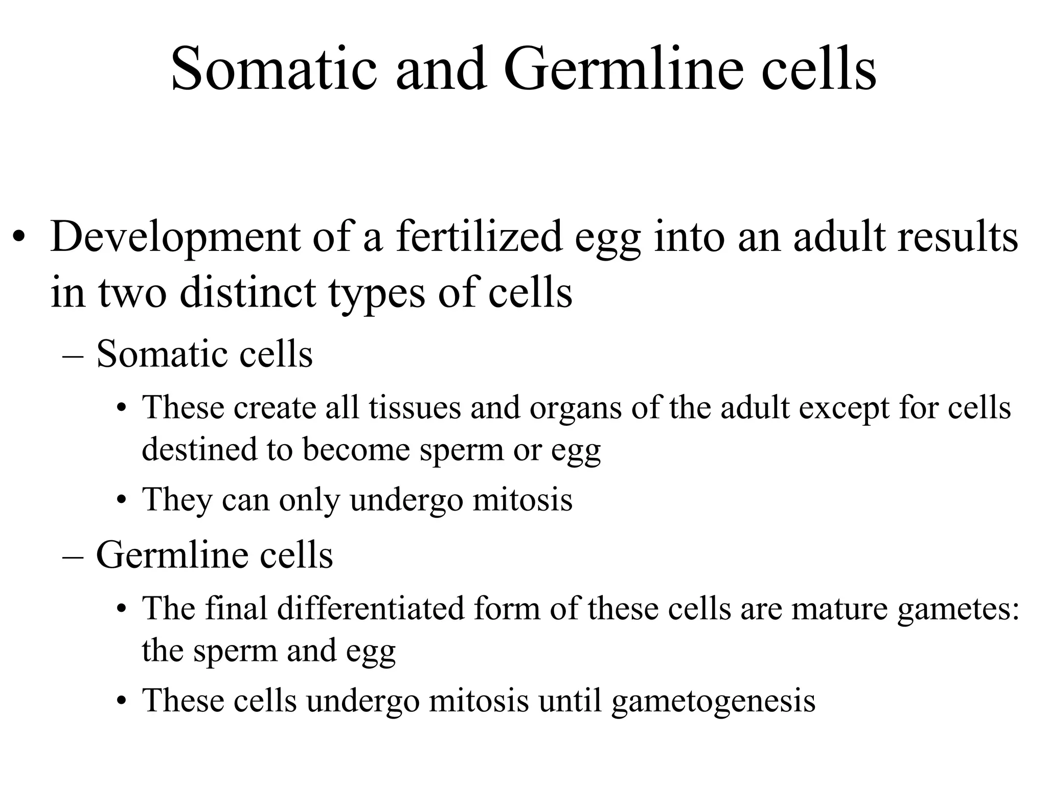 07 gametogenesis n fertilization | PPT