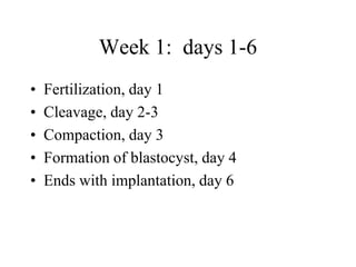 07 gametogenesis n fertilization | PPT