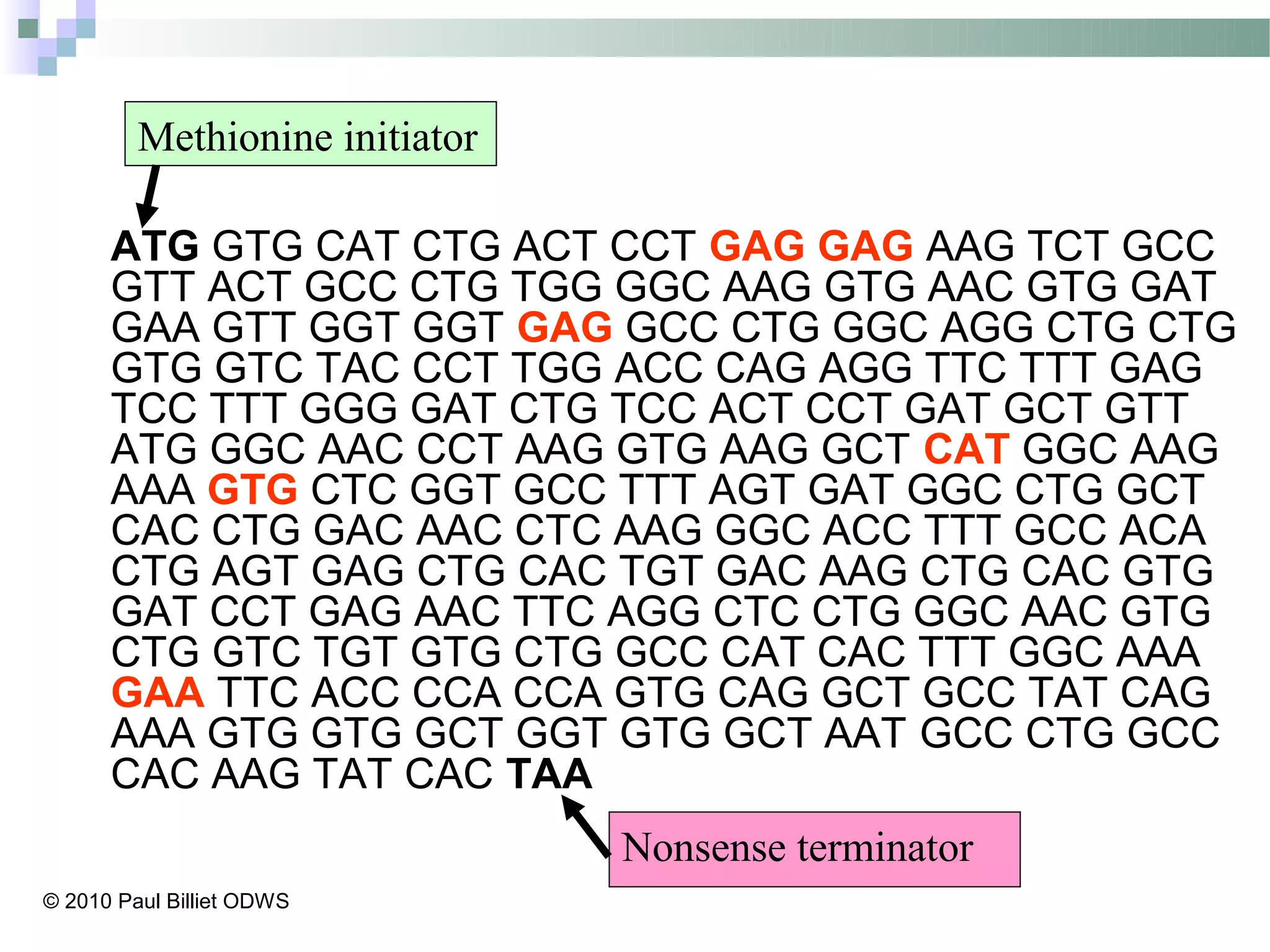 07 gene mutations | PPT