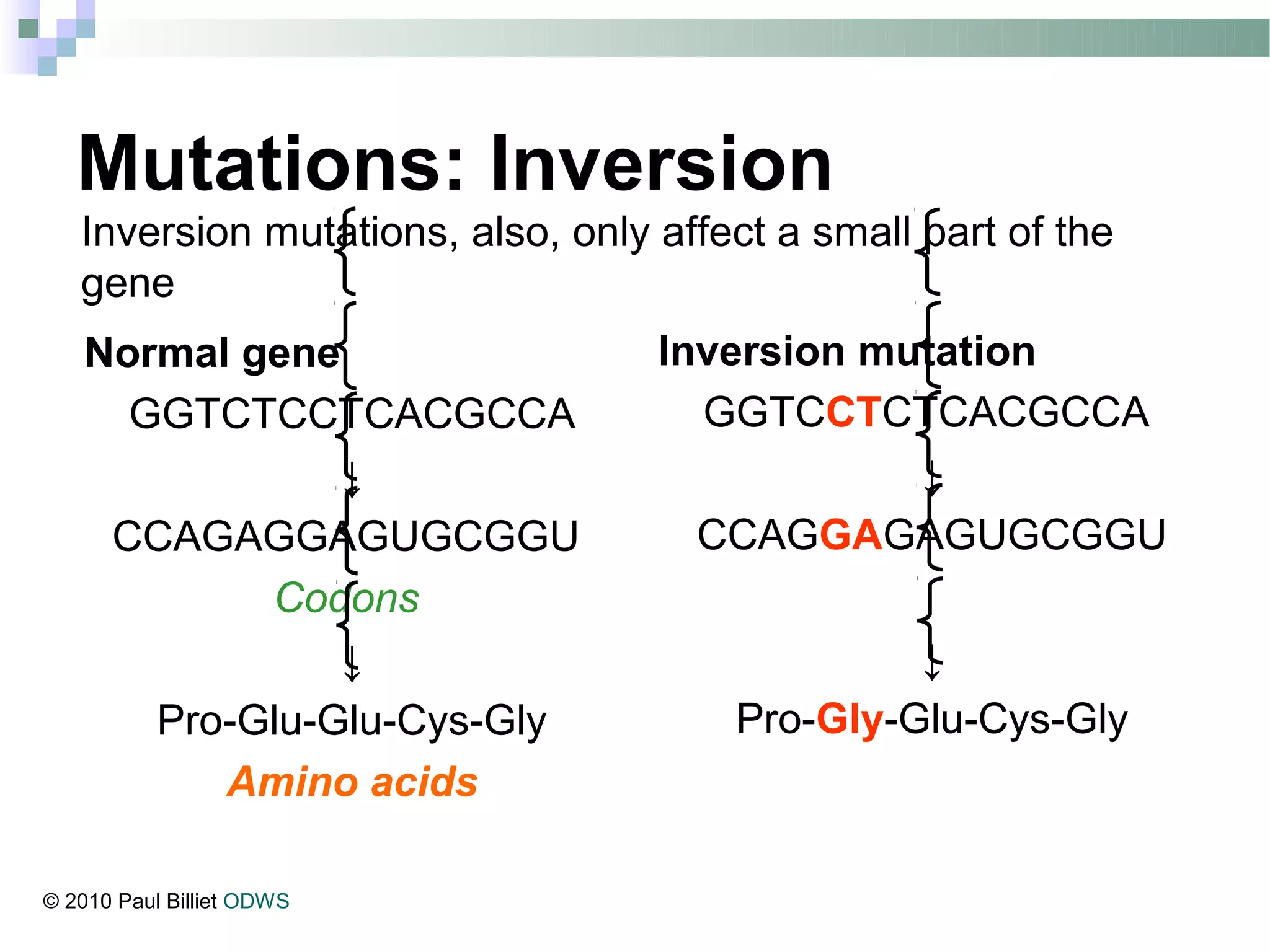 07 gene mutations | PPT