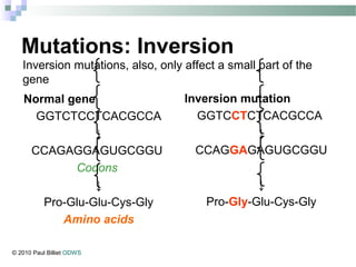 07 gene mutations | PPT