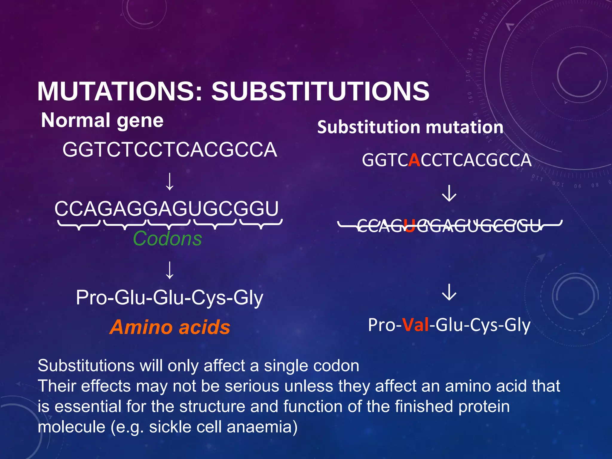 Gene Mutations | PPT