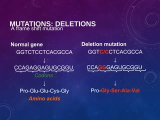Gene Mutations | PPT