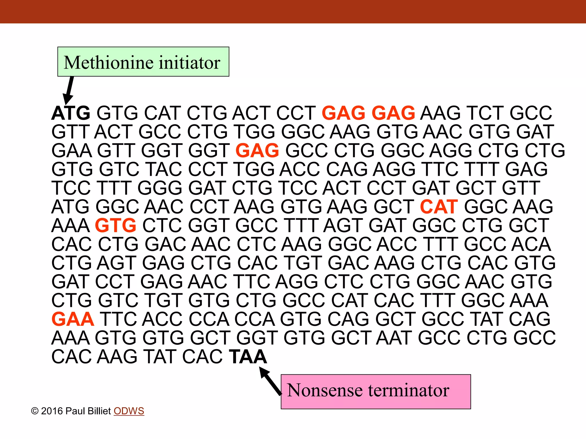 GENE MUTATIONS.ppt