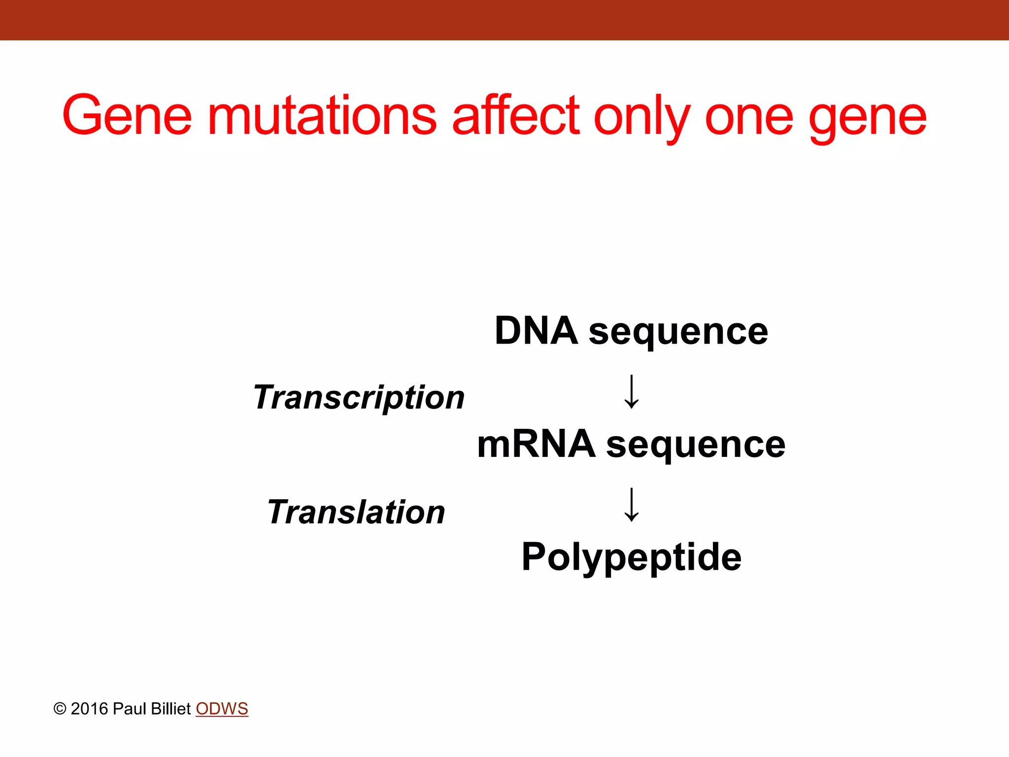 GENE MUTATIONS.ppt