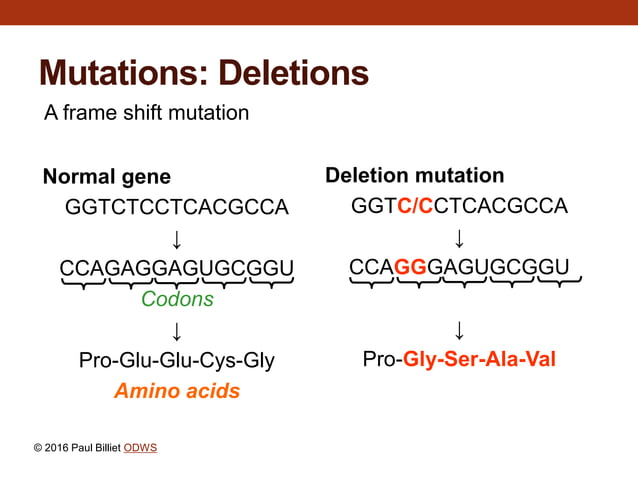 GENE MUTATIONS.ppt
