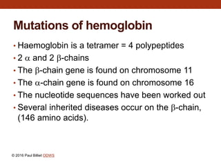 GENE MUTATIONS.ppt