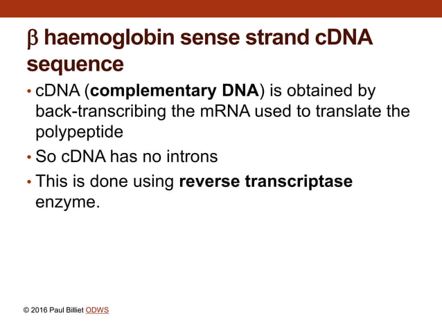 GENE MUTATIONS.ppt