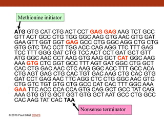 GENE MUTATIONS.ppt