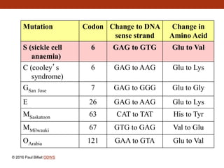 GENE MUTATIONS.ppt