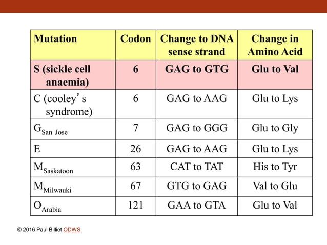 GENE MUTATIONS.ppt