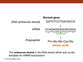 GENE MUTATIONS.ppt