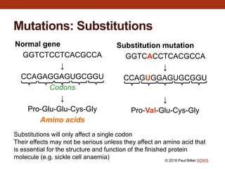GENE MUTATIONS.ppt