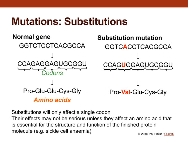 GENE MUTATIONS.ppt