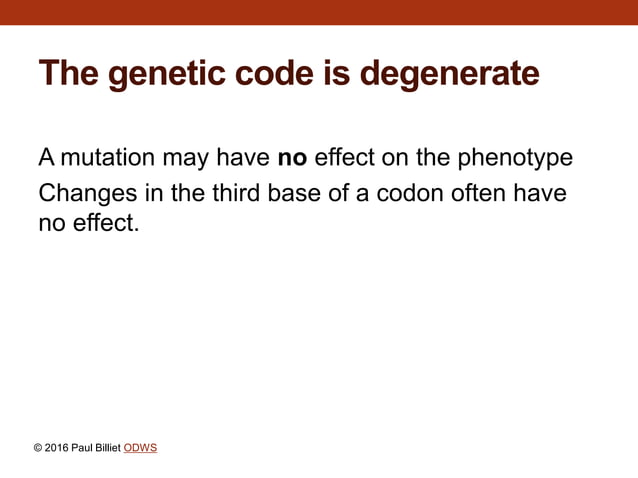 GENE MUTATIONS.ppt