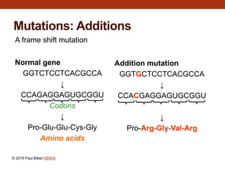 GENE MUTATIONS.ppt
