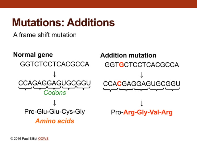 GENE MUTATIONS.ppt