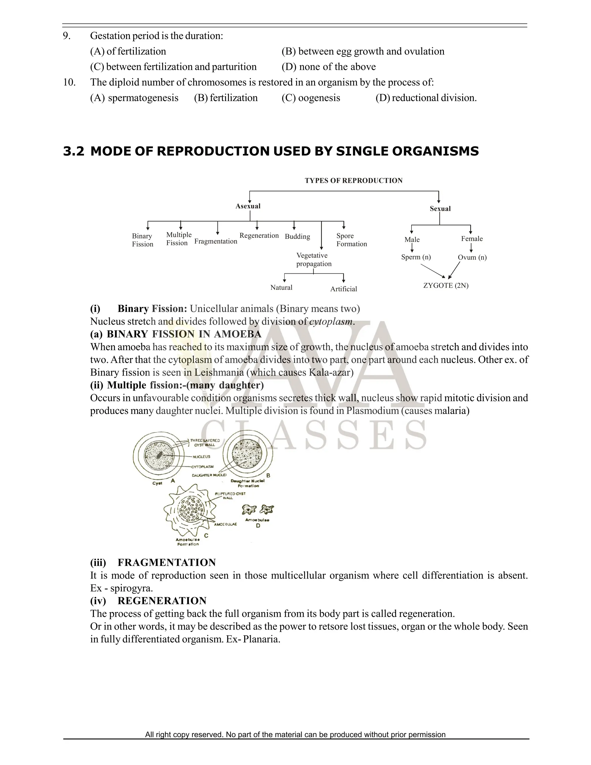 how do organisms reproduce class 10 study material download pdf | PDF