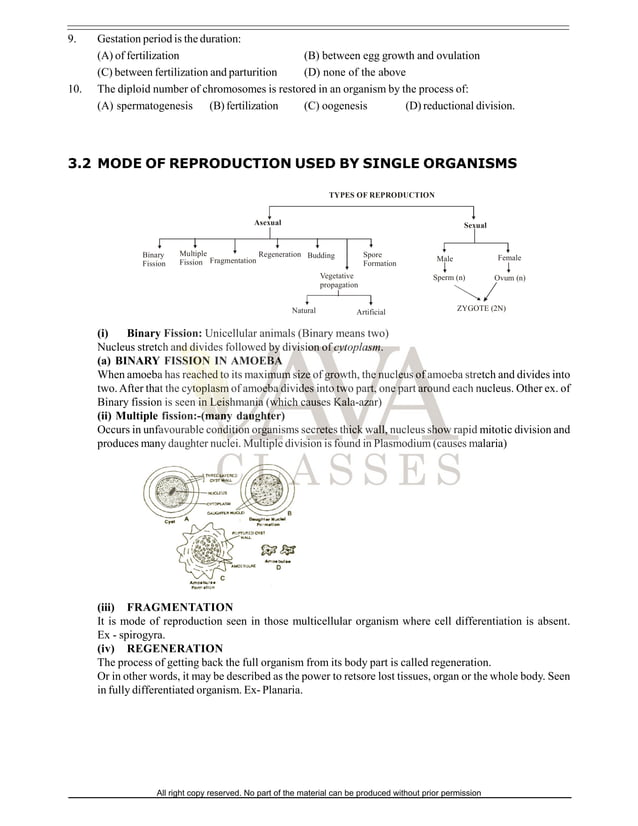 how do organisms reproduce class 10 study material download pdf | PDF