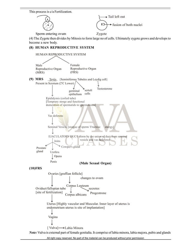 how do organisms reproduce class 10 study material download pdf | PDF