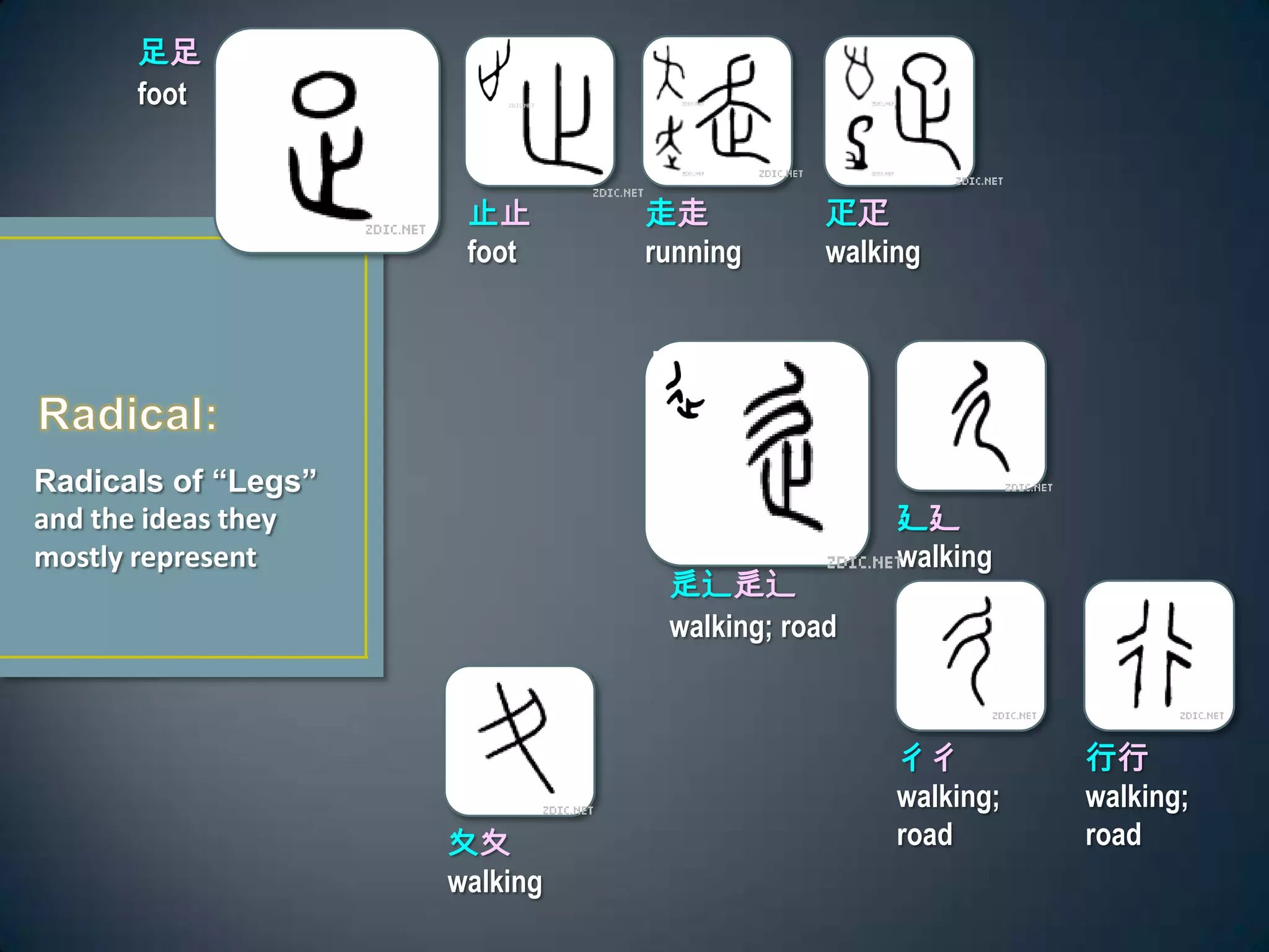 07 Radical:human related-4b_legs_morphology_v-o_v-c_serial-verbs | PPT