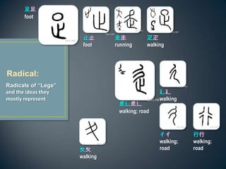 07 Radical:human related-4b_legs_morphology_v-o_v-c_serial-verbs | PPT