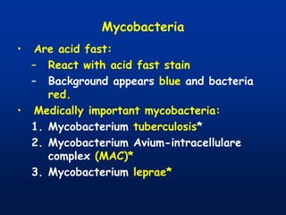 07 infectious disease mycobacteria | PPT