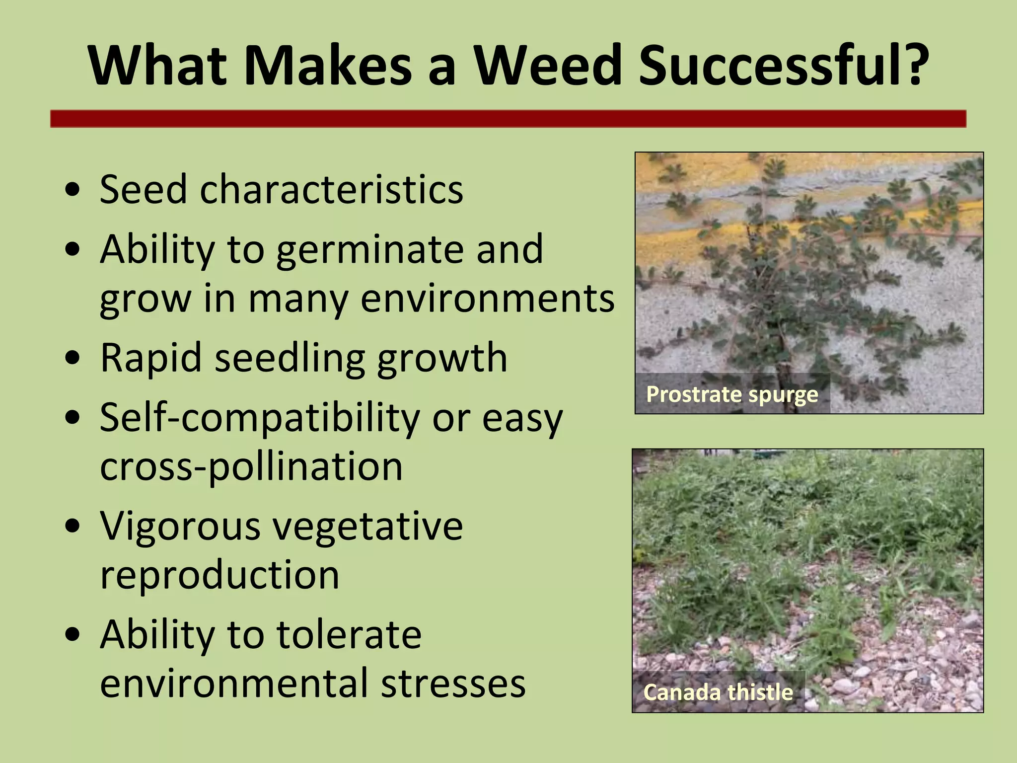 Introduction to Weed Science.pptx