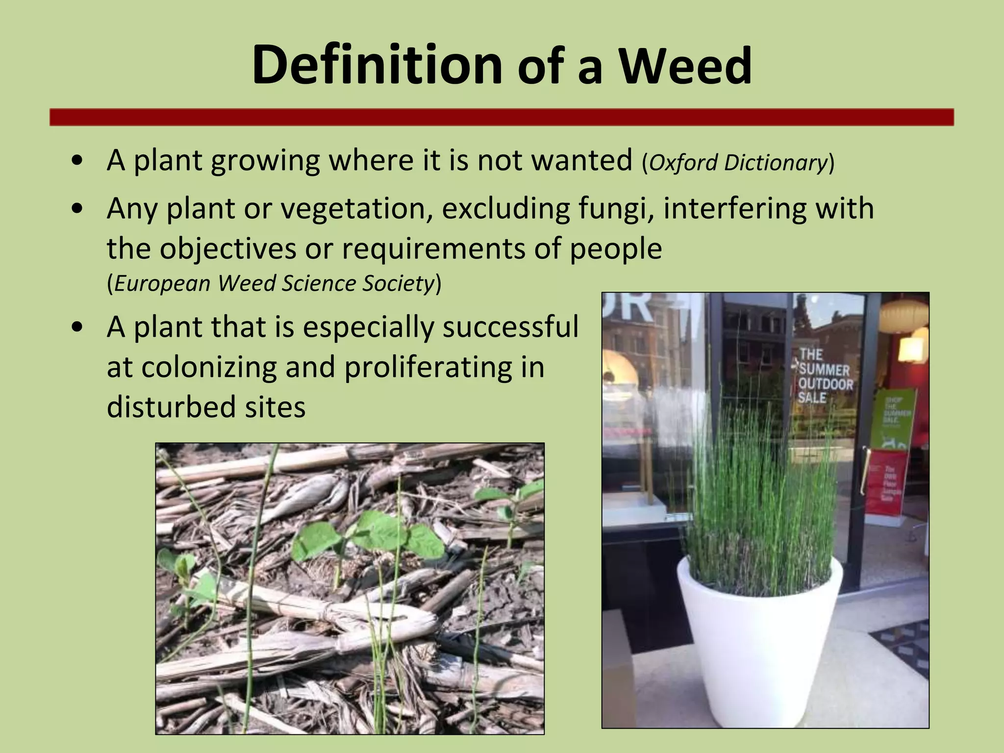 Introduction to Weed Science.pptx