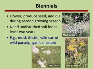 Introduction to Weed Science.pptx