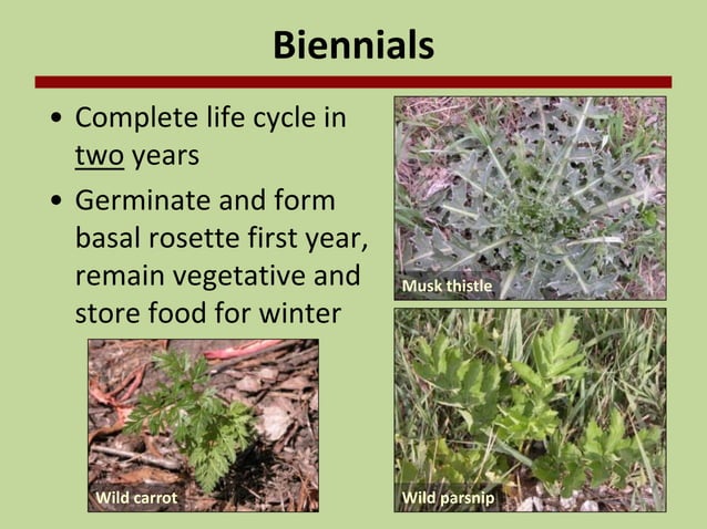 Introduction to Weed Science.pptx | Gardening | Home & Garden