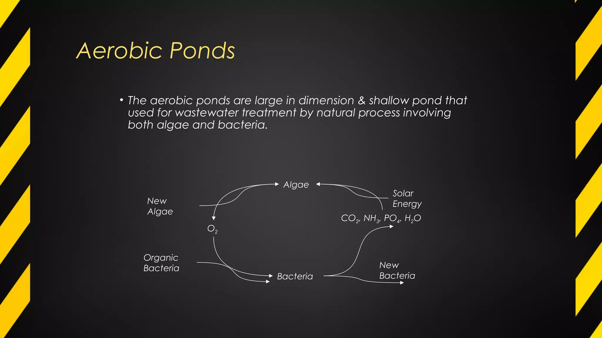 Oxidation ponds | PPT