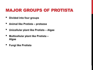 07 Kingdom Protista Trashcane of living organism the protists..pptx