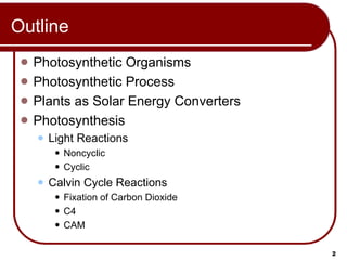 07 Lecture Animation Ppt | PPT