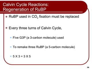 07 Lecture Animation Ppt | PPT