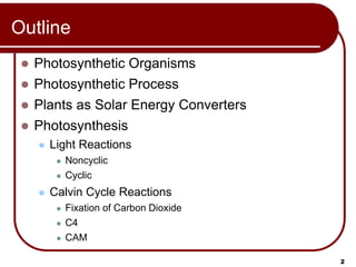 07 lecture animation_ppt | PPTX | Biological Sciences | Science