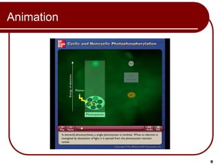 07 lecture animation_ppt | PPTX | Biological Sciences | Science